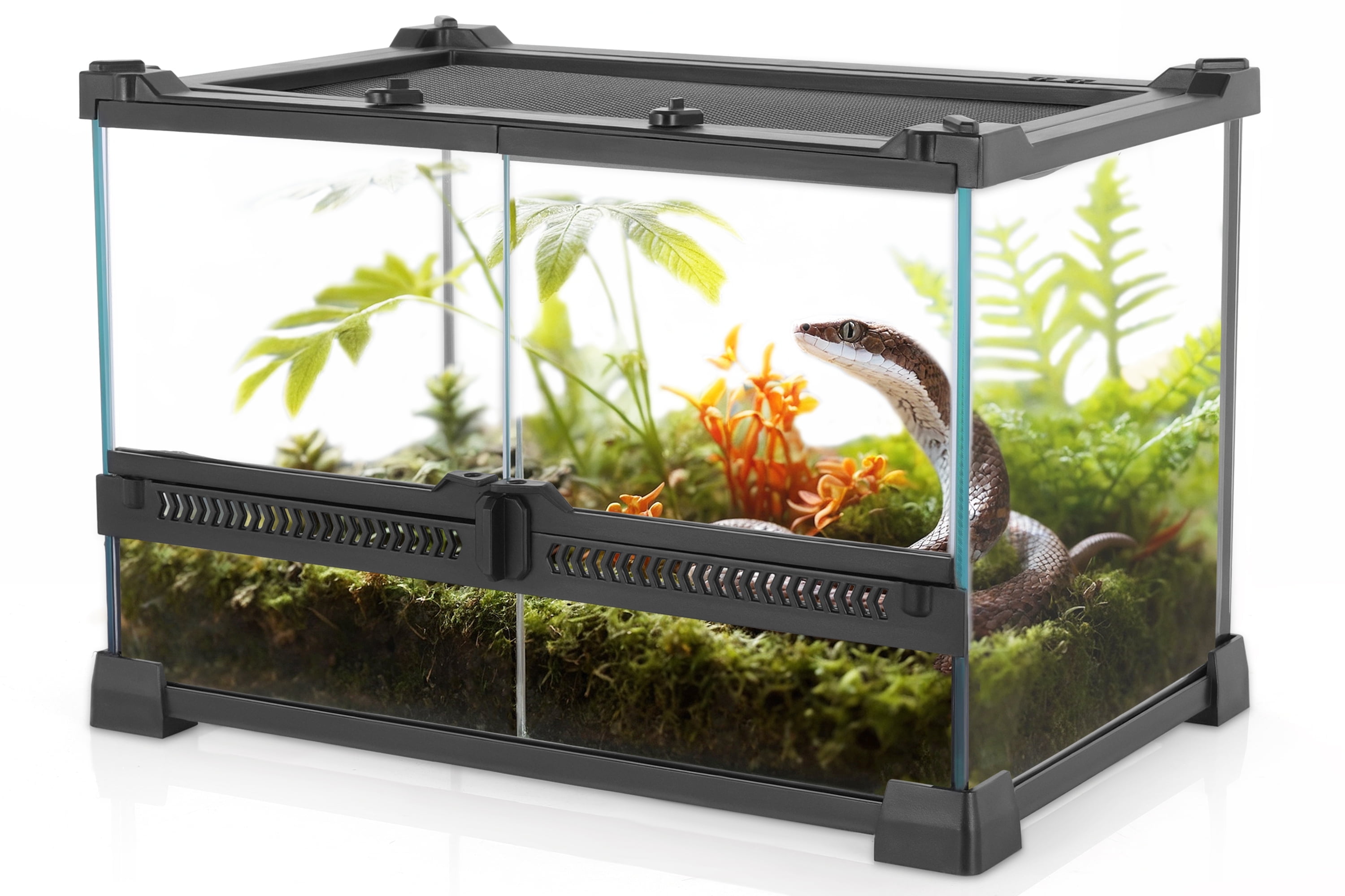 NEPTONION Mini Reptile Glass Terrarium 12"x8"x8" Durable Reptile ...