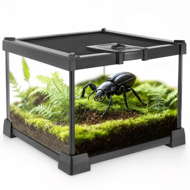 NEPTONION Mini Reptile Glass Terrarium 8"x8"x6" Durable Reptile Habitat ...