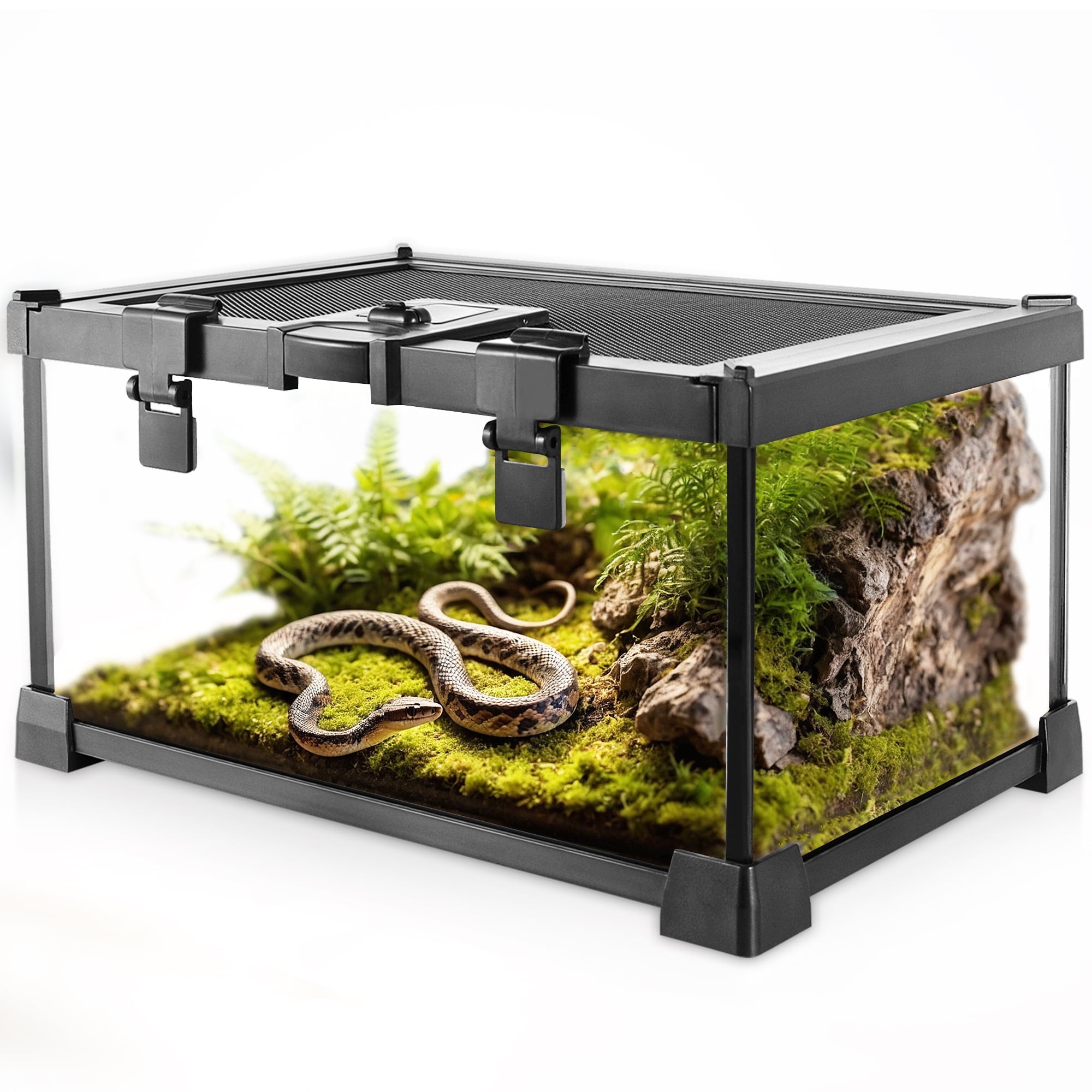 NEPTONION Mini Reptile Glass Terrarium 12'' x 8'' x 6'' For Small ...