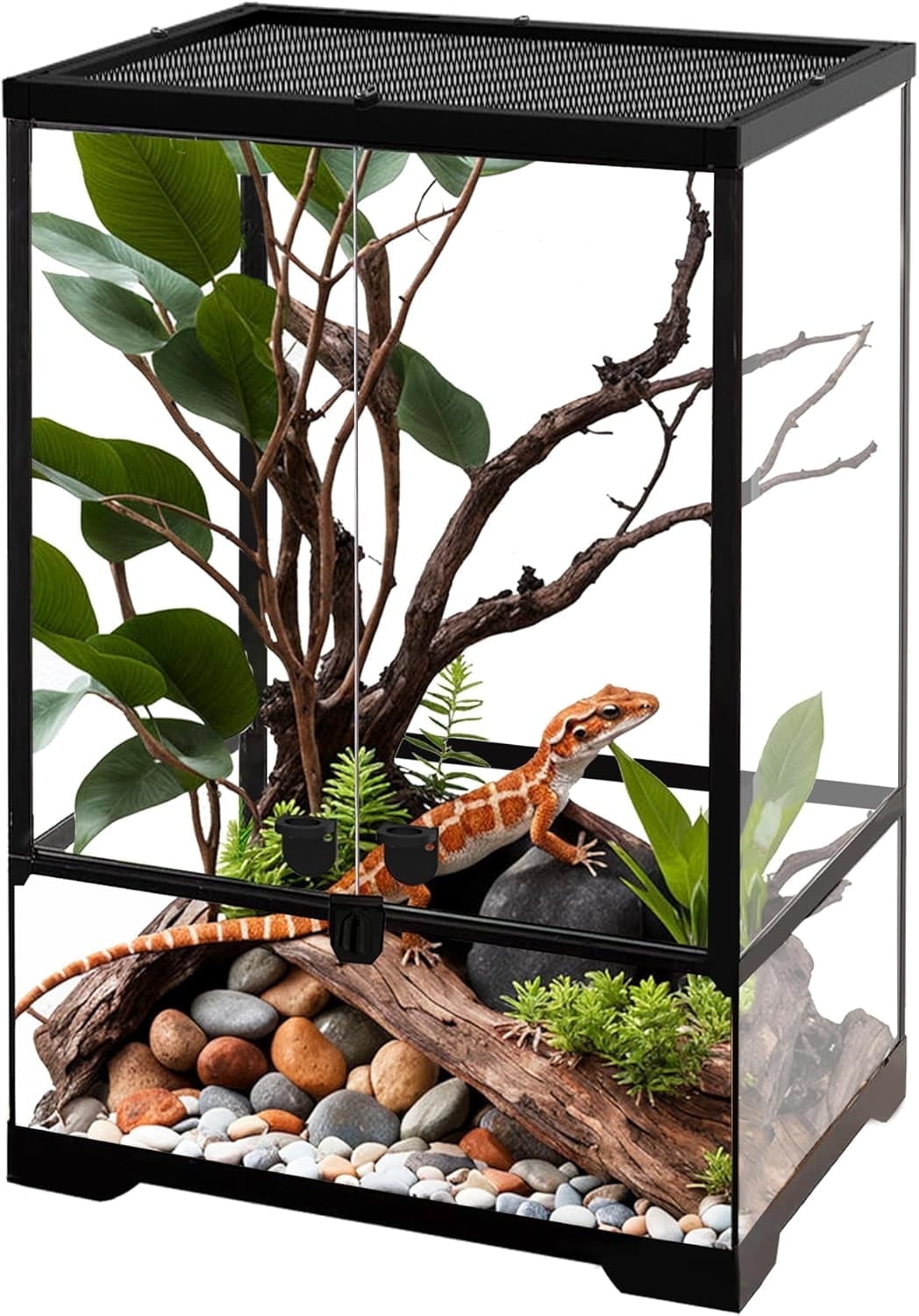 NEPTONION Professional Glass Terrarium 12"x12"x18" Durable Reptile ...