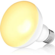 Woods 0165 Brooder Lamp with Bulb Guard,10.5 Inch Reflector and 6 Foot ...