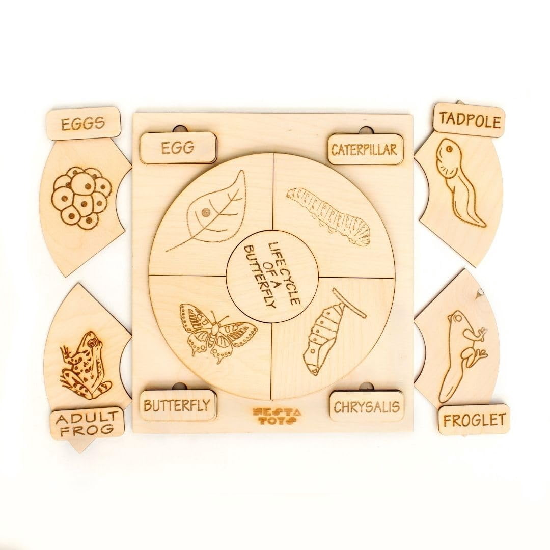 NESTA TOYS - Montessori Life Cycle Puzzle | DIY Coloring Activity (36 ...