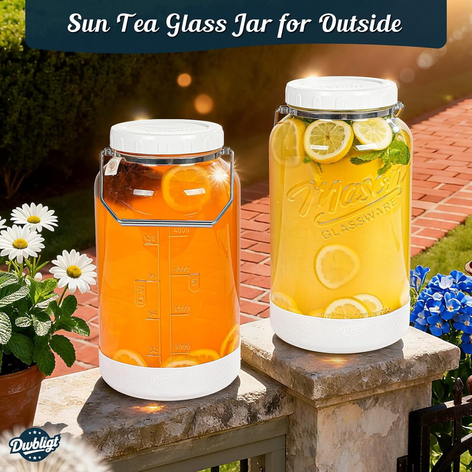 [NEW] 1.5 Gallon Huge Glass Jar with Airtight Lid, Wide Mouth Large ...