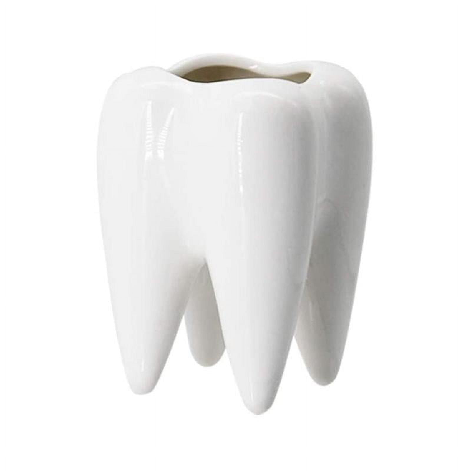 NEW-Cute Tooth Shaped Ceramic Succulent Cactus Flower Pot F Home Lot ...