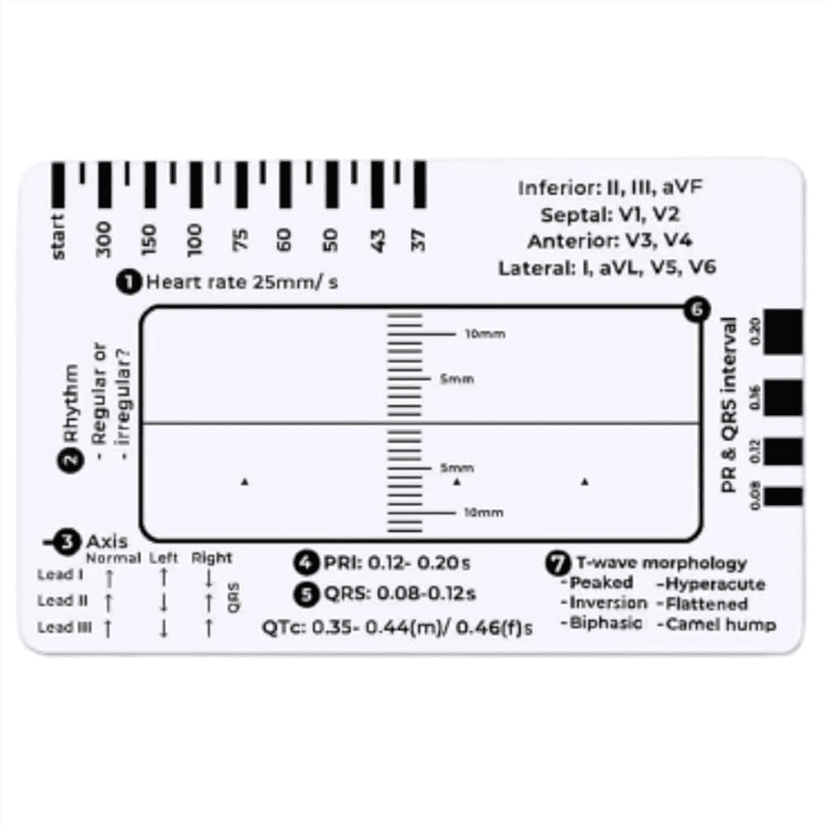 NEW ECG 7 Step Ruler, Ruler for ECG/EKG Interpretation, Rapid and Quick ...