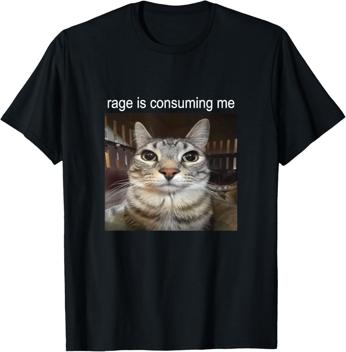 NEW Rage Is Consuming Me Silly Staring Cat Meme Funny Joke T-Shirt ...