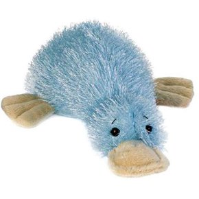 Webkinz