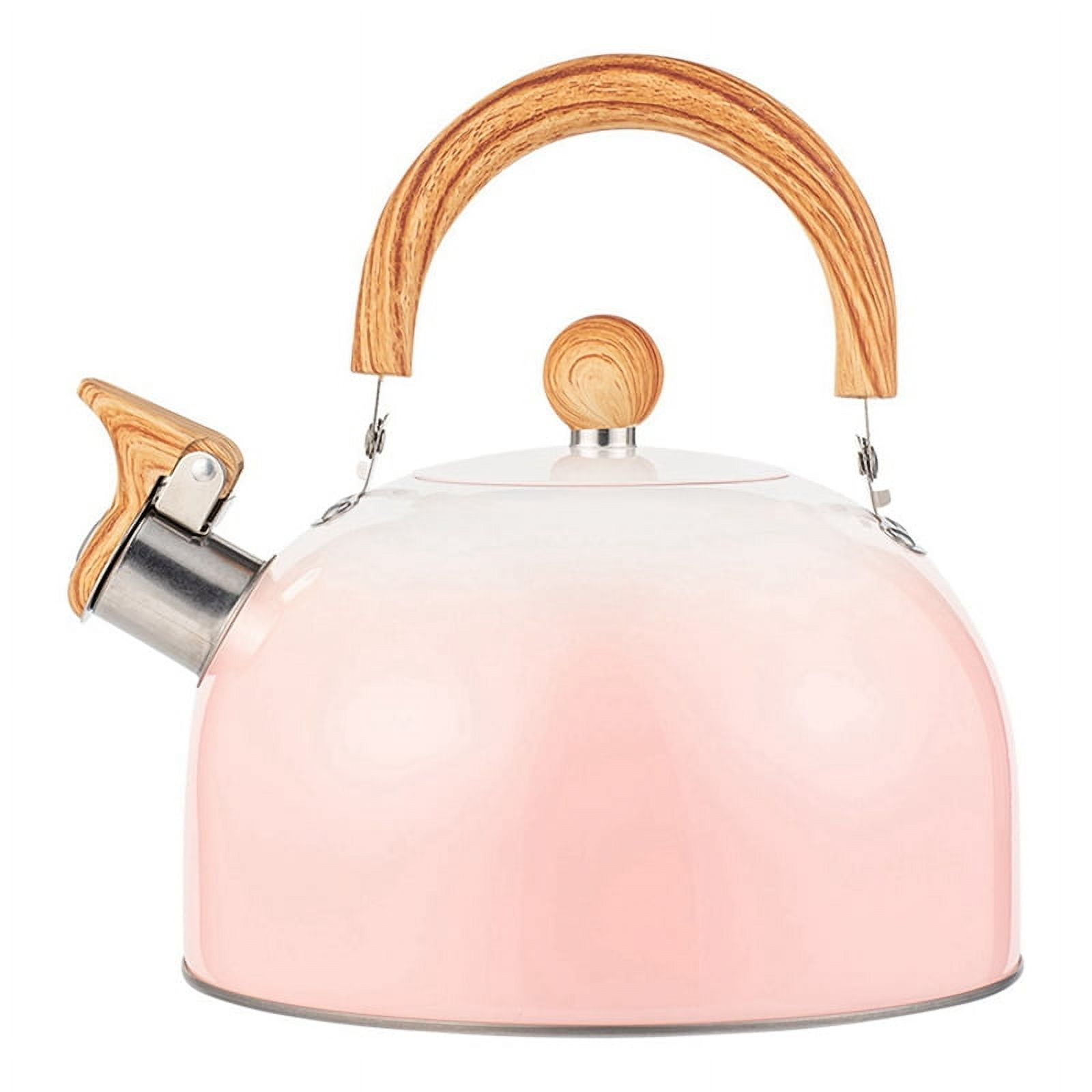 Whistle Teapot, Stainless Steel Teapot, Fast Boiling, Cool Handle ...