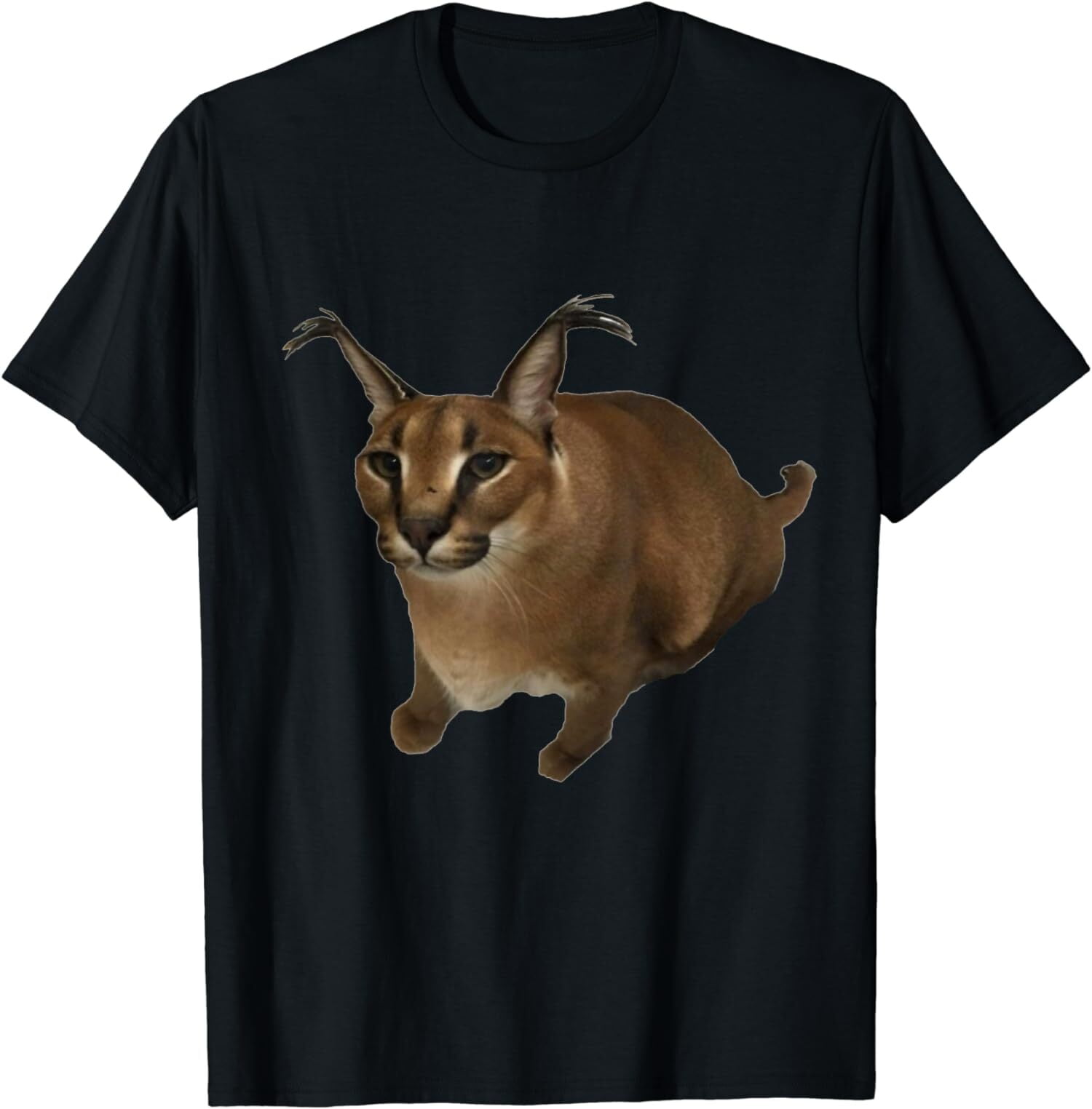 NEWFunny Cat, Floppa Meme, Caracal Cat, Cat Lovers T-Shirt - Walmart.com