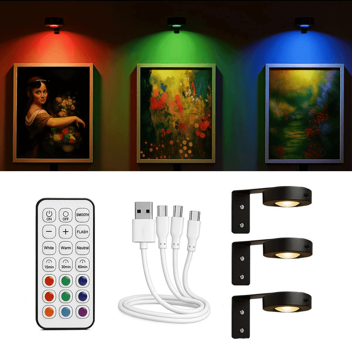 NEWJOEY Picture Lights for Wall, 3 Pack Rechargeable RGB+Black LED ...