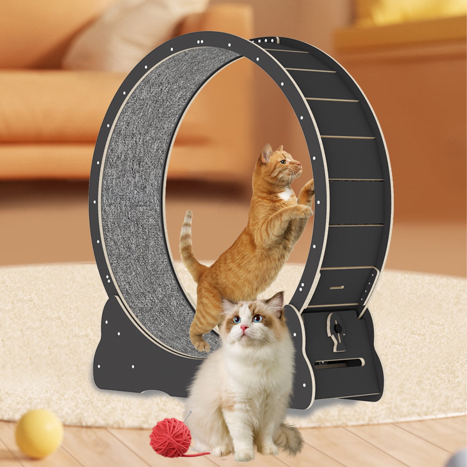 NEWZQ 39-Inch Cat Exercise Wheel, Low Noise Cat Treadmill, Safety Cat ...