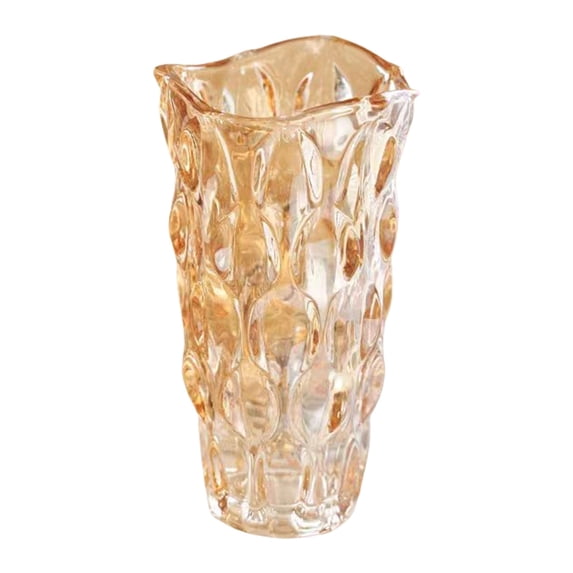 NEXAVKPR Decorative Glass Vases Clear Crystal Flower Container Plant ...