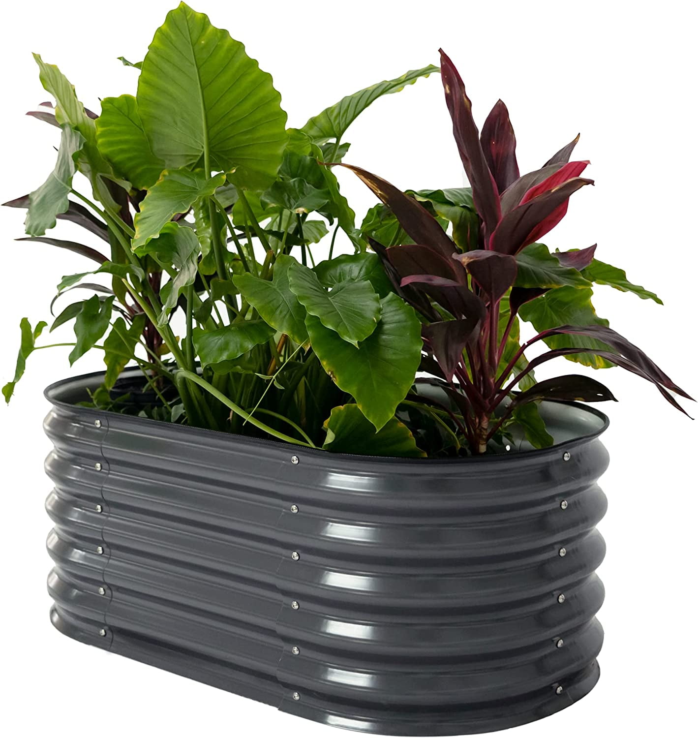 NEXPYUN 17" Tall Kids First Garden Bed 42" x 24" Raised Planter Box ...