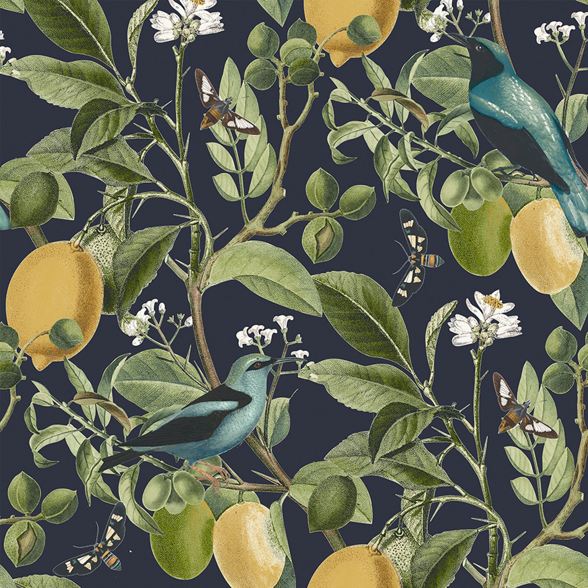 NEXT Fruit Tree Spring Midnight Wallpaper - Walmart.com