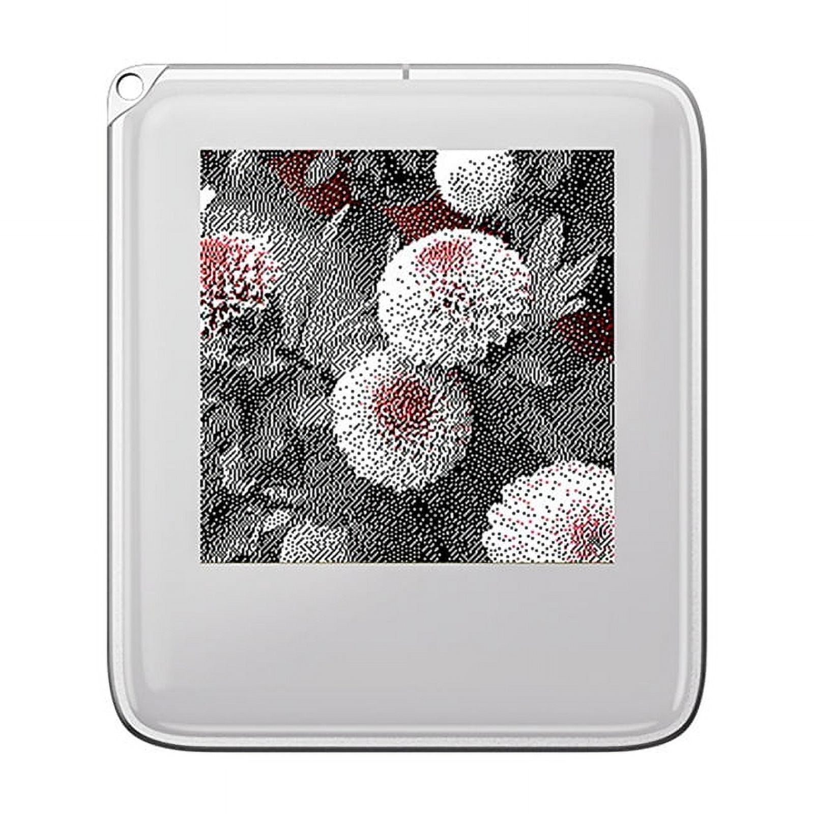 NFC Function Keyring 1.54-Inch Three Color Display Screen Image ...