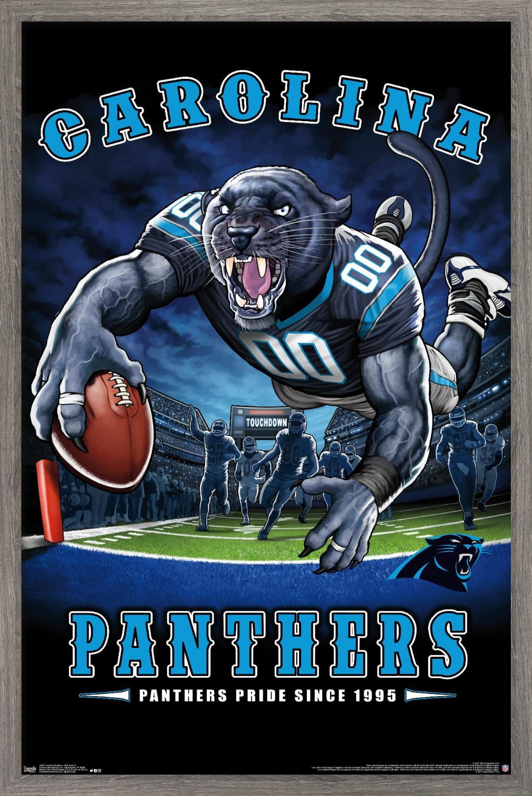 NFL Carolina Panthers - End Zone 17 Wall Poster, 14.725" x 22.375 ...