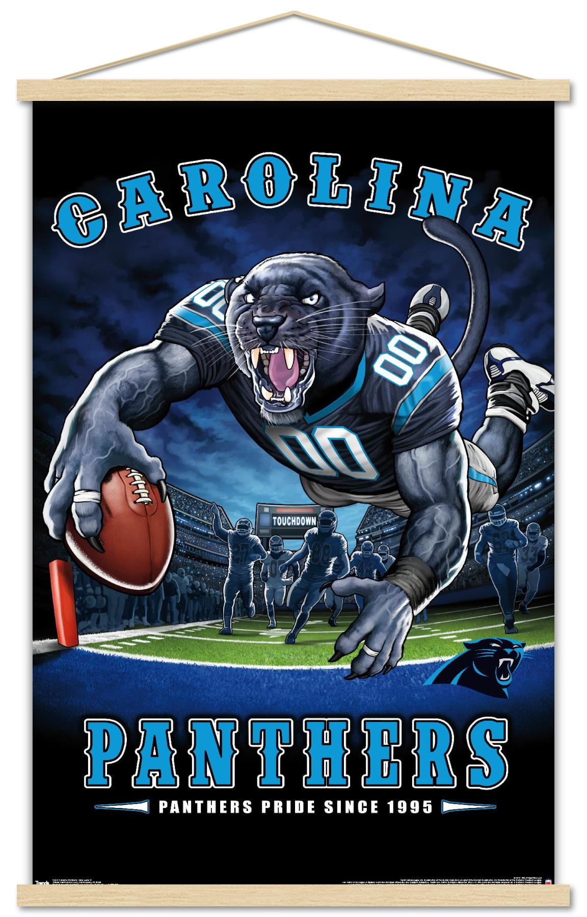NFL Carolina Panthers - End Zone 17 Wall Poster with Wooden Magnetic ...