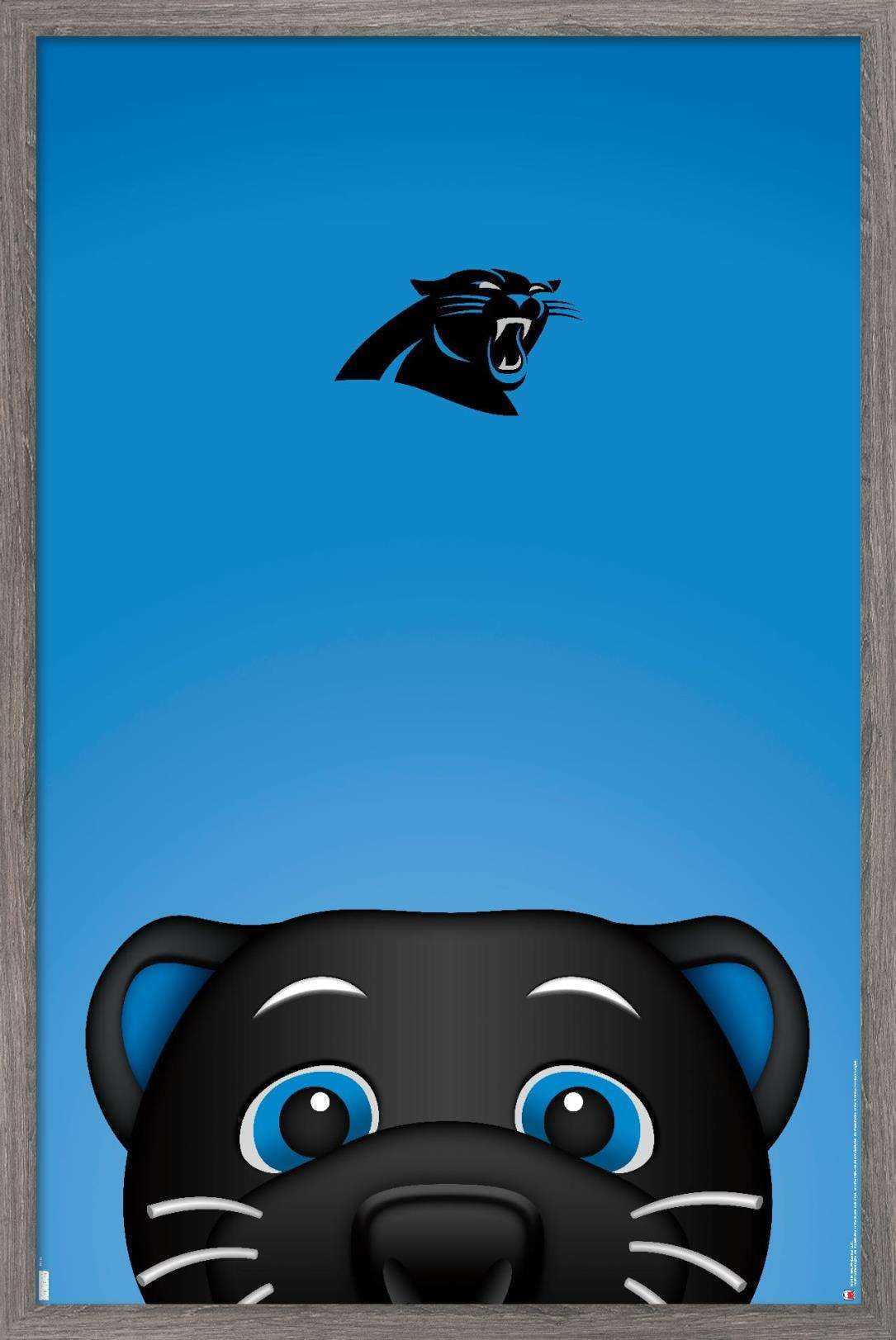 NFL Carolina Panthers - S. Preston Mascot Sir Purr 20 Wall Poster, 22. ...