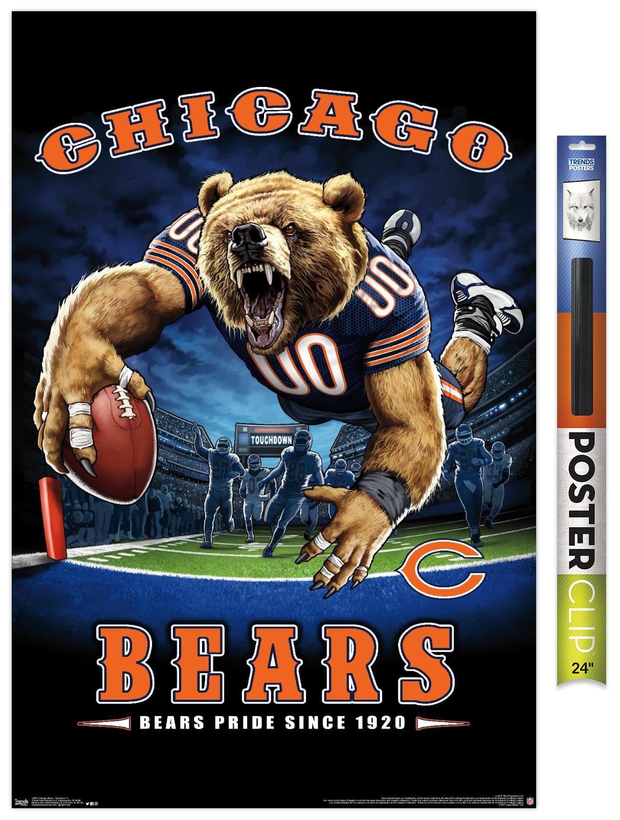 NFL Chicago Bears - End Zone 17 Wall Poster, 22.375" x 34" - Walmart.com