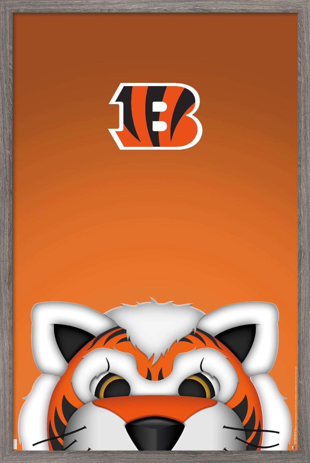 Who Dey Bengals Wallpaper