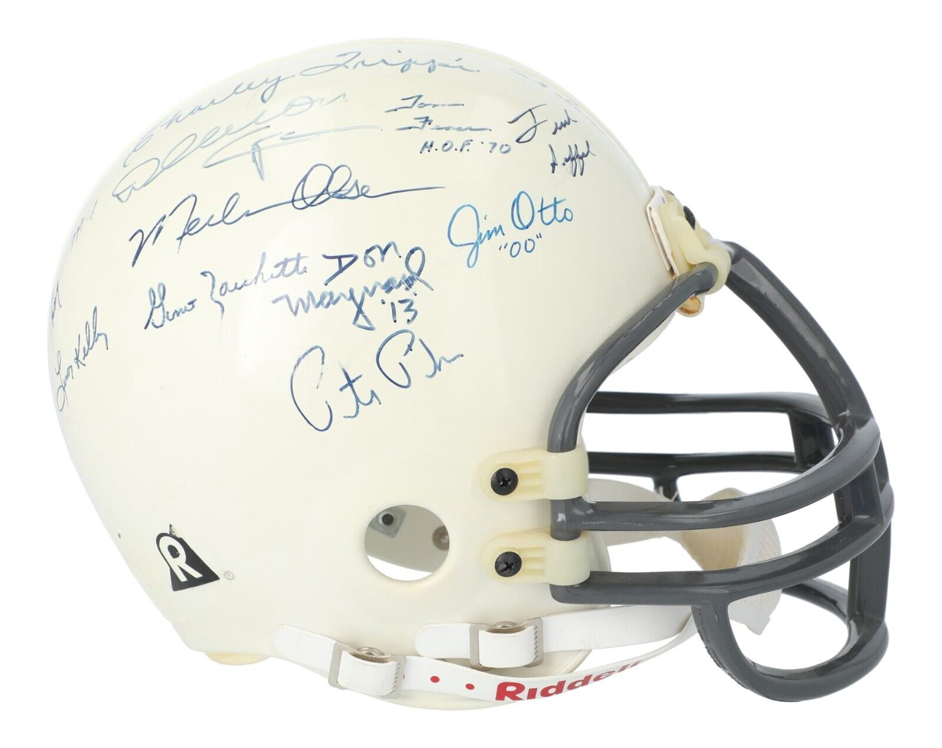 NFL Hall Of Fame Multi Signed Helmet 22 Sigs Ray Nitschke Otto Graham ...