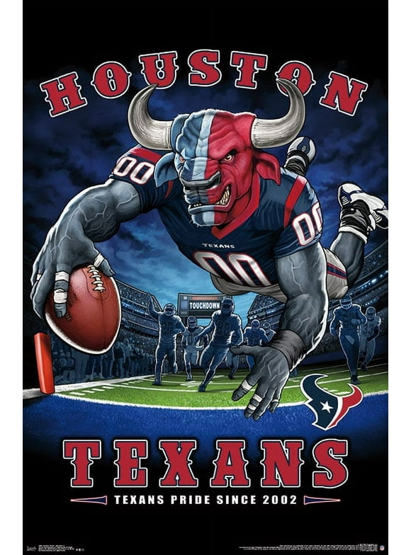 Houston Texans Team Shop - Walmart.com