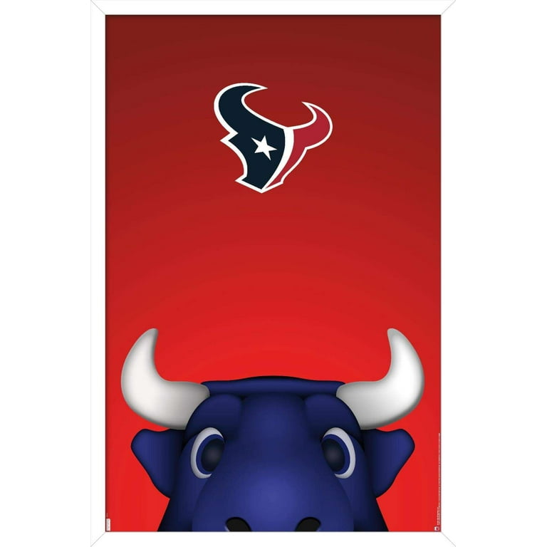 Houston Texans Bull Art