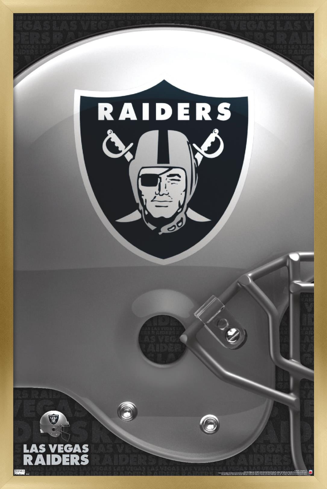 Raiders Logo Background