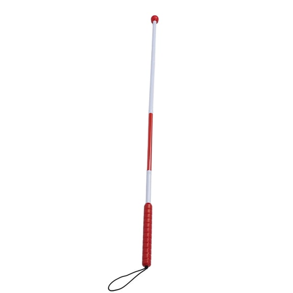 Walking Stick The Blind