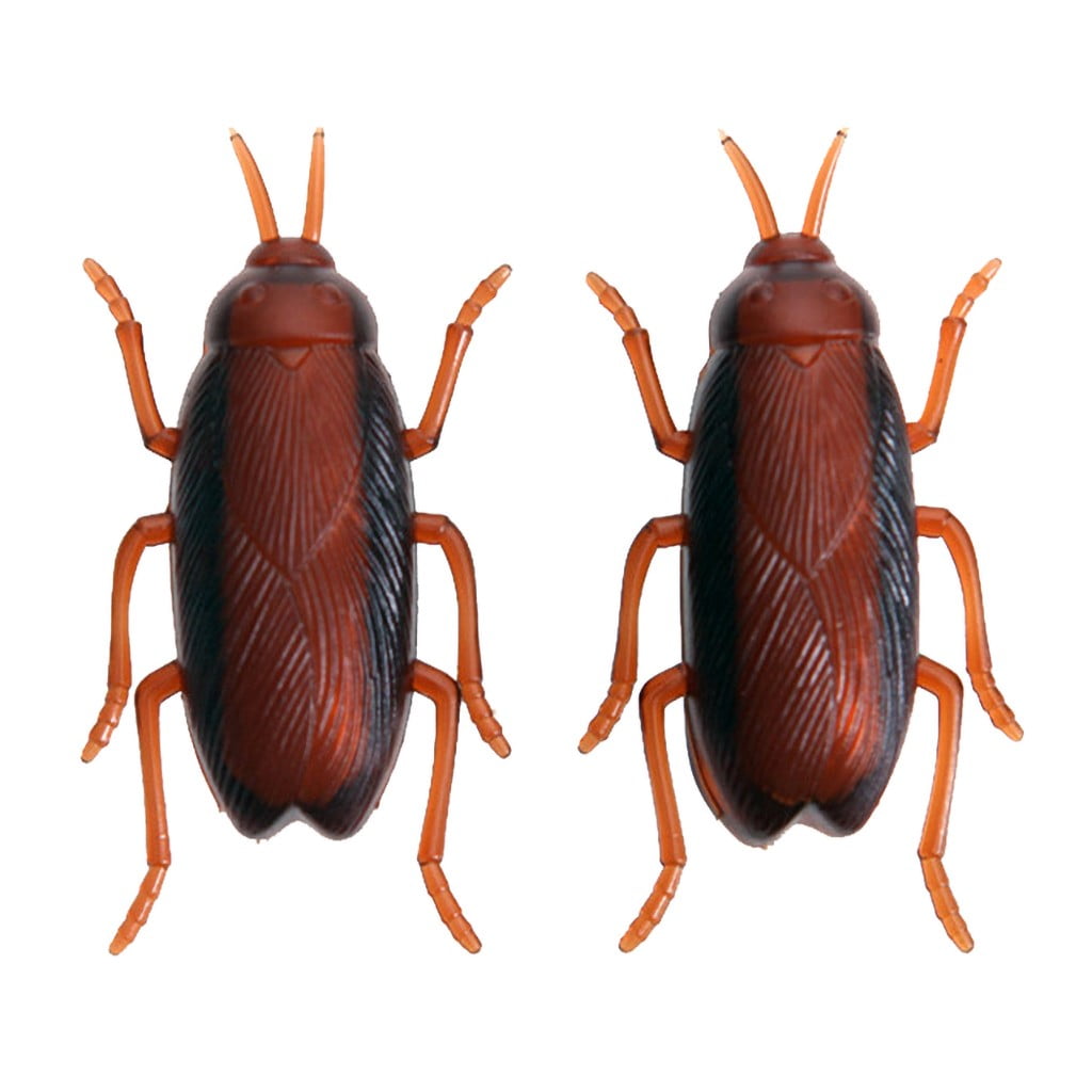 NGHnuifg Horrible Moving Cockroach Electricity Cockroach Toy Prank Toy ...