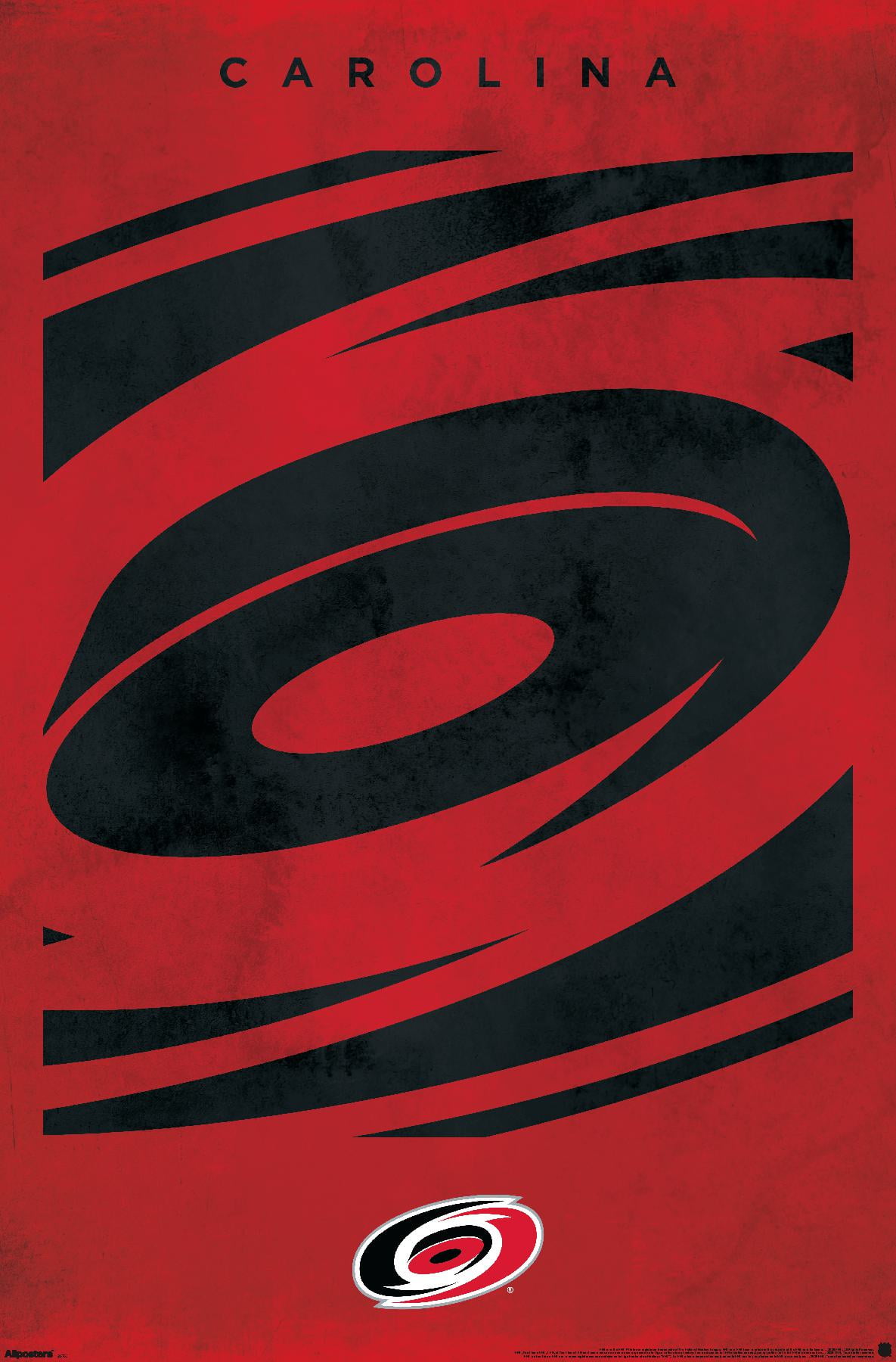 NHL Carolina Hurricanes - Logo 25 Wall Poster, 22.375" x 34" - Walmart.com