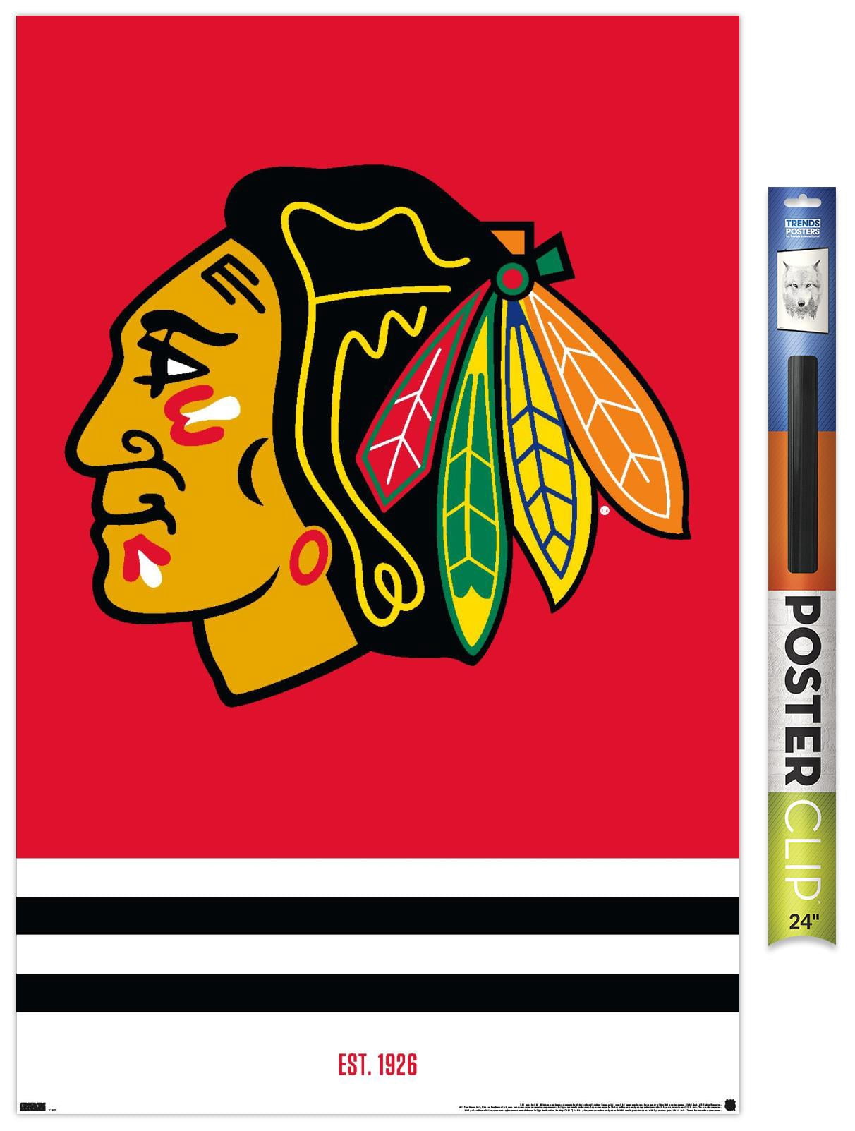 NHL Chicago Blackhawks - Logo 21 Wall Poster, 22.375" x 34" - Walmart.com