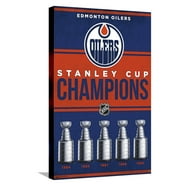 Edmonton Oilers 17.5'' x 17.5'' Modern Disc Wall Sign - Walmart.com