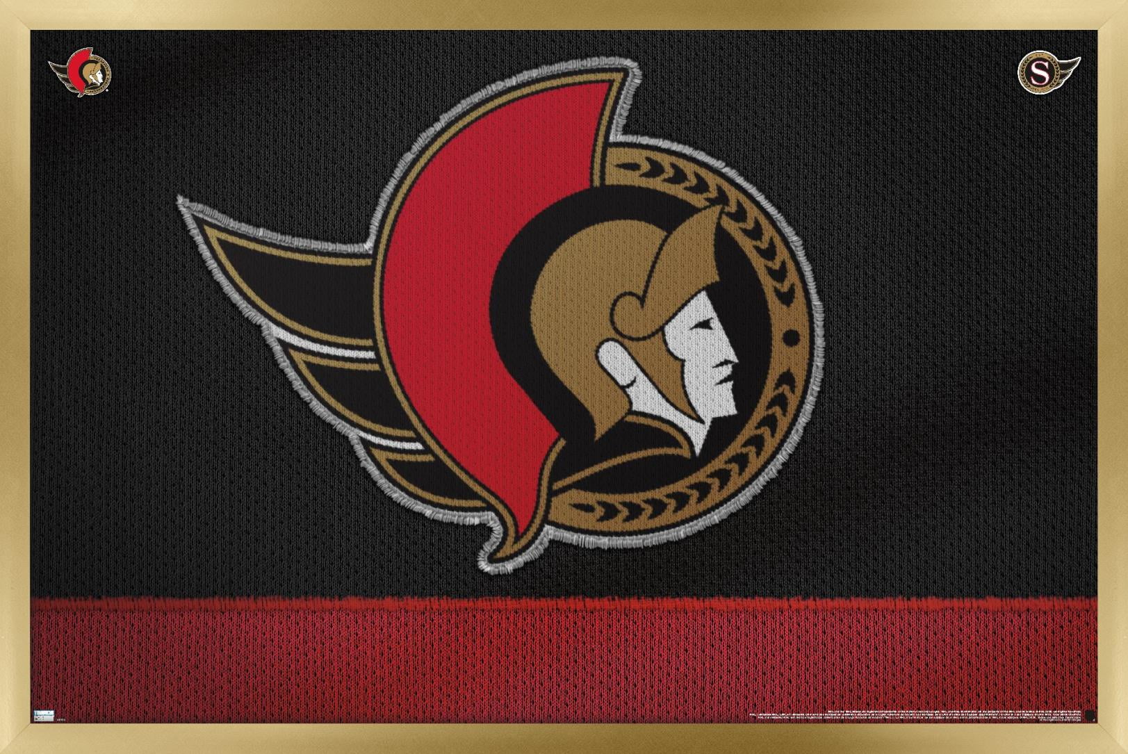 NHL Ottawa Senators - Logo 20 Wall Poster, 22.375" x 34", Framed ...