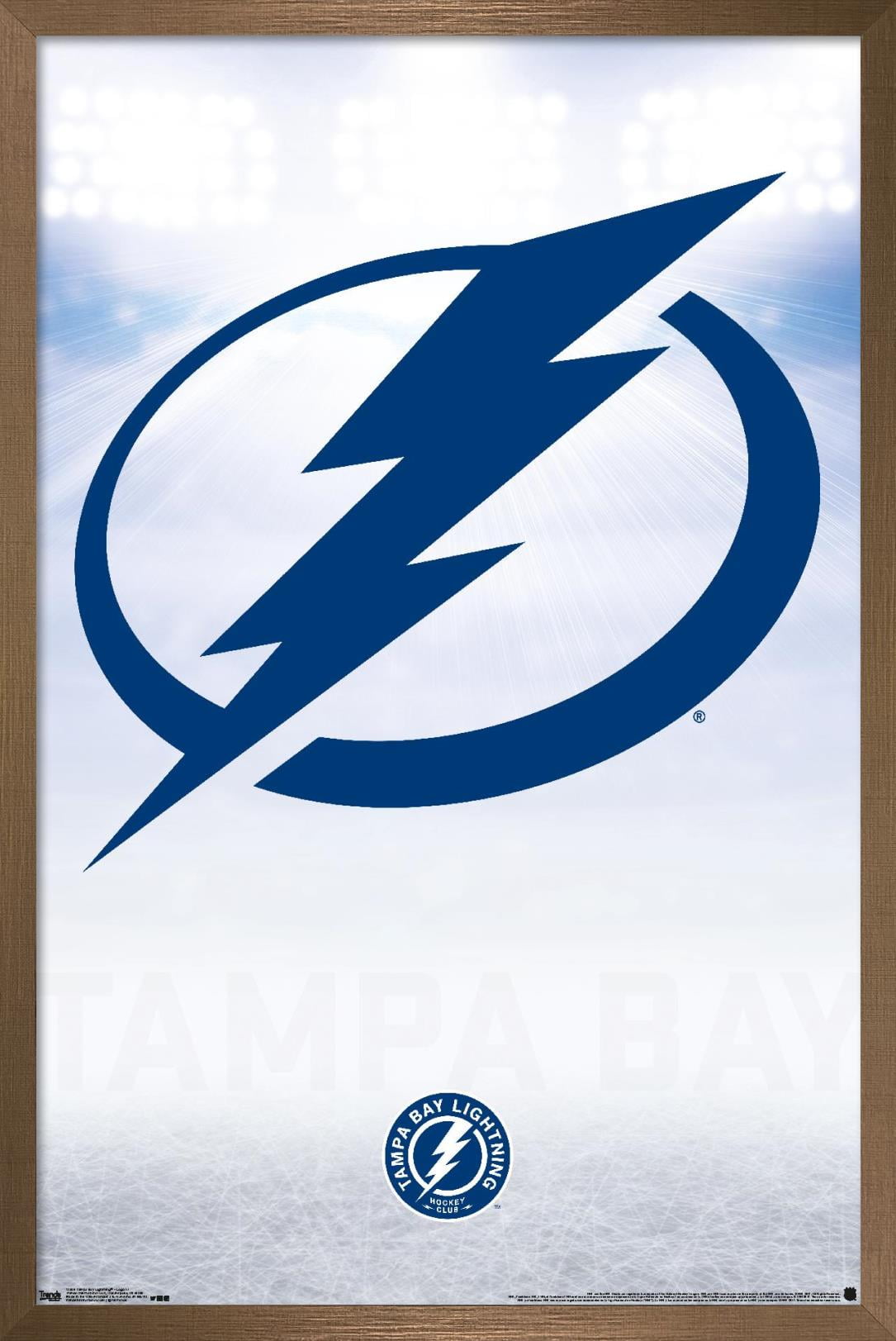NHL Tampa Bay Lightning - Logo 17 Wall Poster, 22.375" x 34", Framed ...