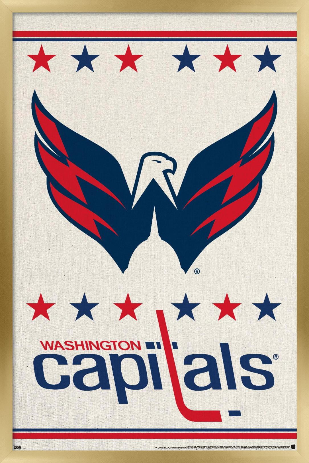 NHL Washington Capitals - Logo 14 Wall Poster, 22.375" x 34", Framed ...