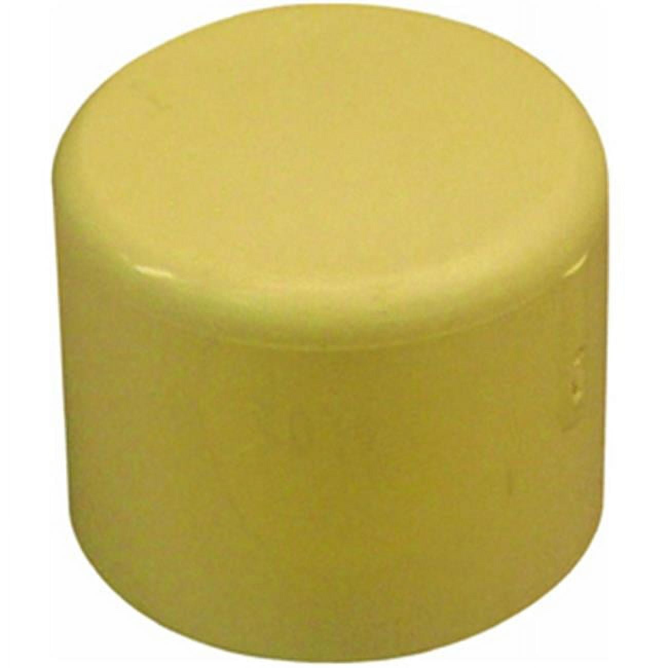 NIBCO T00210D CPVC Pipe Fitting, Cap, 0.5 in. Slip - Walmart.com