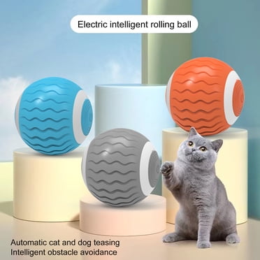 Cat Spring Toys (60 Pack), Playful Coils for Kittens, Coil Plastic for ...