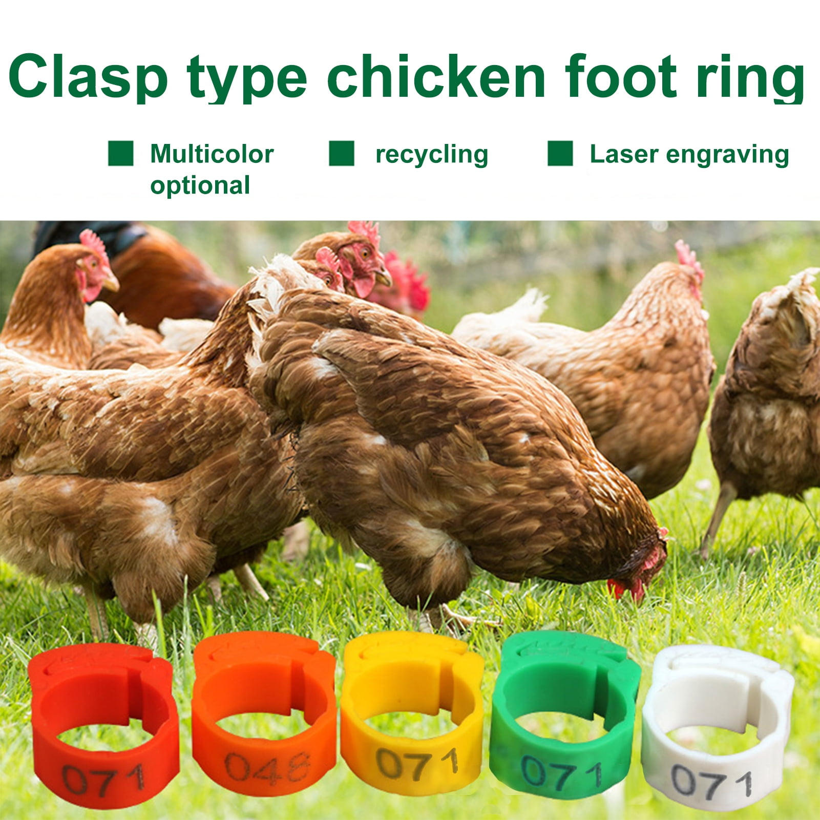 NIBOLOG 100Pcs Chicken Ring Adjustable Buckle Design Easy-assembled ...