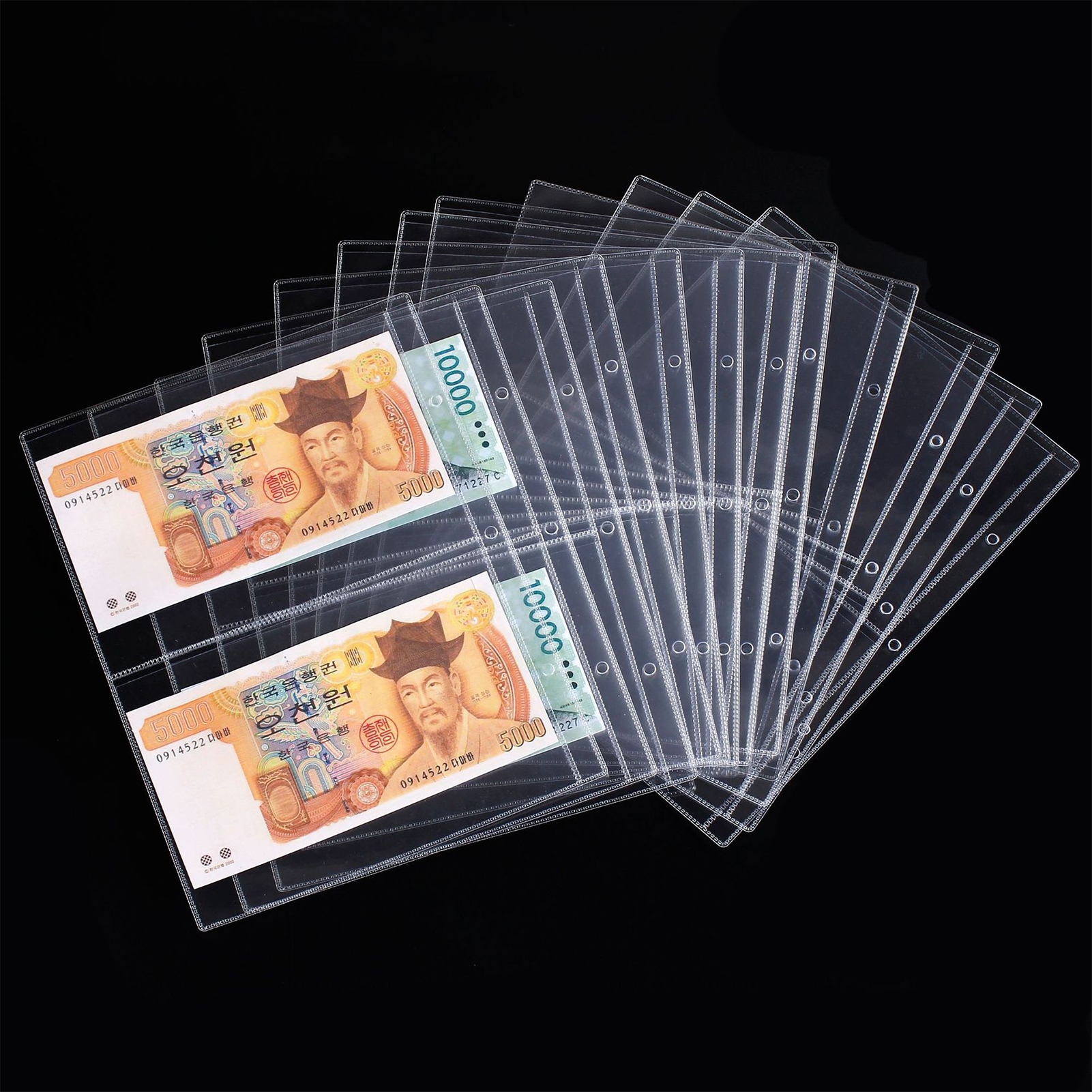 NIBOLOG 10Pcs Currency Pages Transparent 2-Pocket PVC Paper Money ...