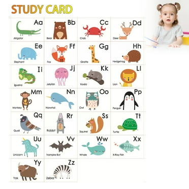 Educational Insights Hot Dots Alphabet Two-Sided Flashcard Set with ...