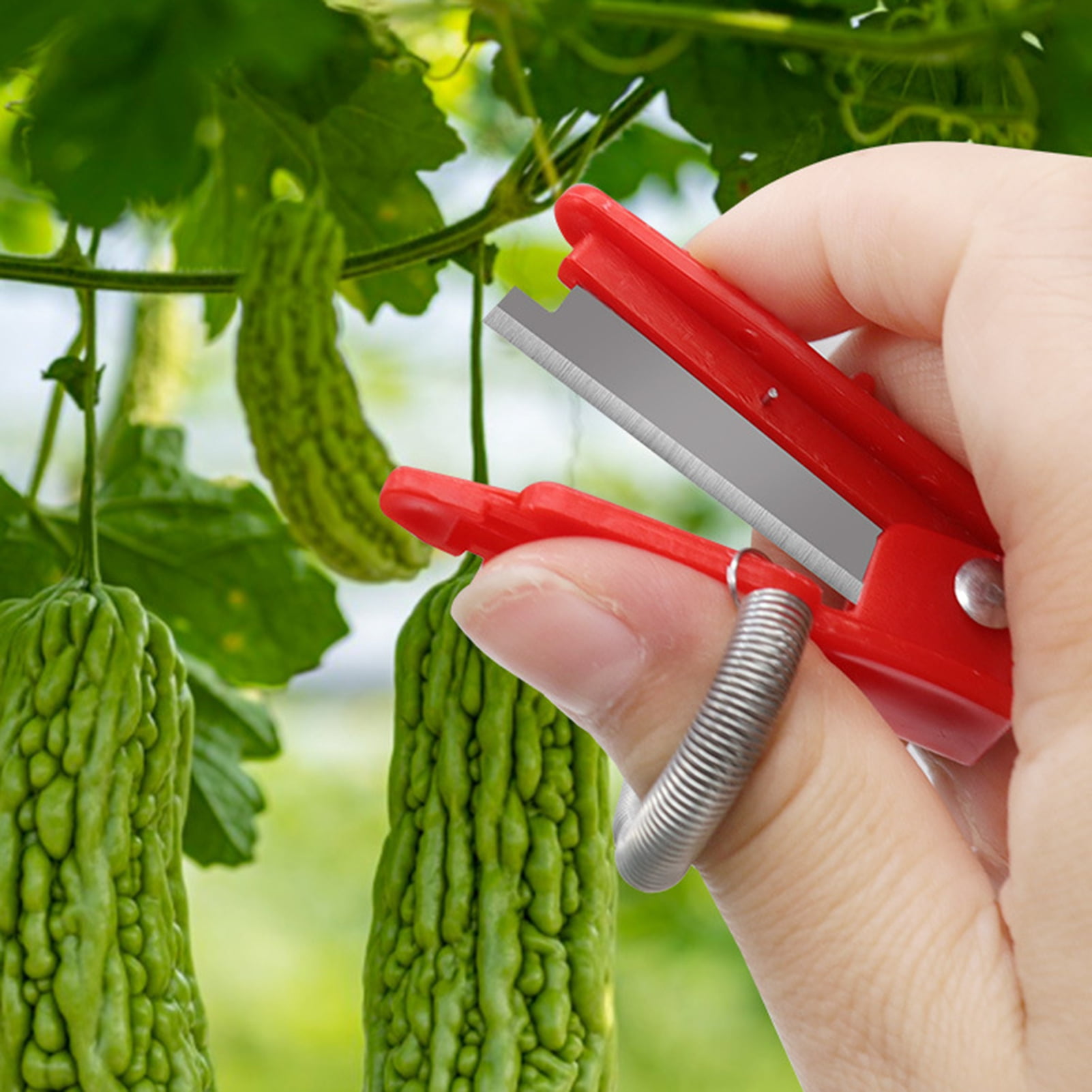 NIBOLOG 3/5/10Pcs Gardening Thumb Knife Fruit Picker Stainless Steel ...