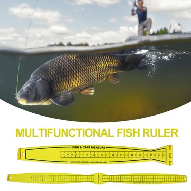 Tnobhg Fish Measuring Board Portable Folding Fishing Ruler Versatile ...