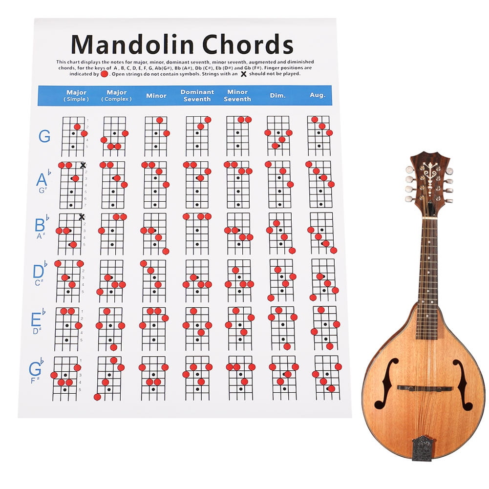 NIBOLOG Mandolin Beginner Practice Chord Chart Fretboard Instructional ...