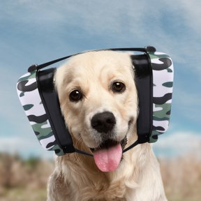 Famikako Dog Ear Muffs for Noise Protection, Noise Cancelling ...