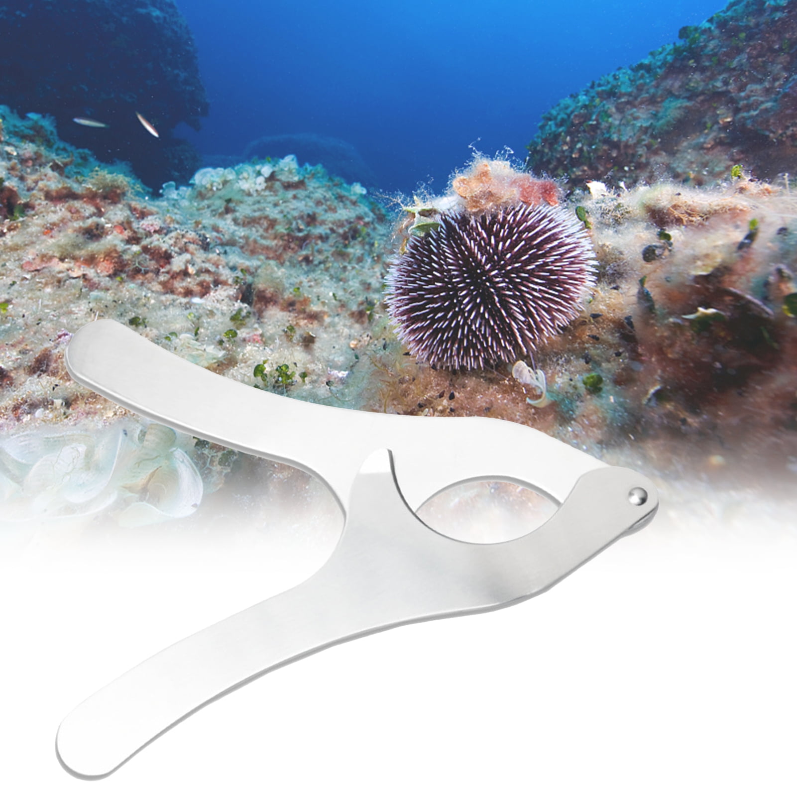 NIBOLOG Sea Urchin Scissor High Hardness Anti-deform Stainless Steel ...