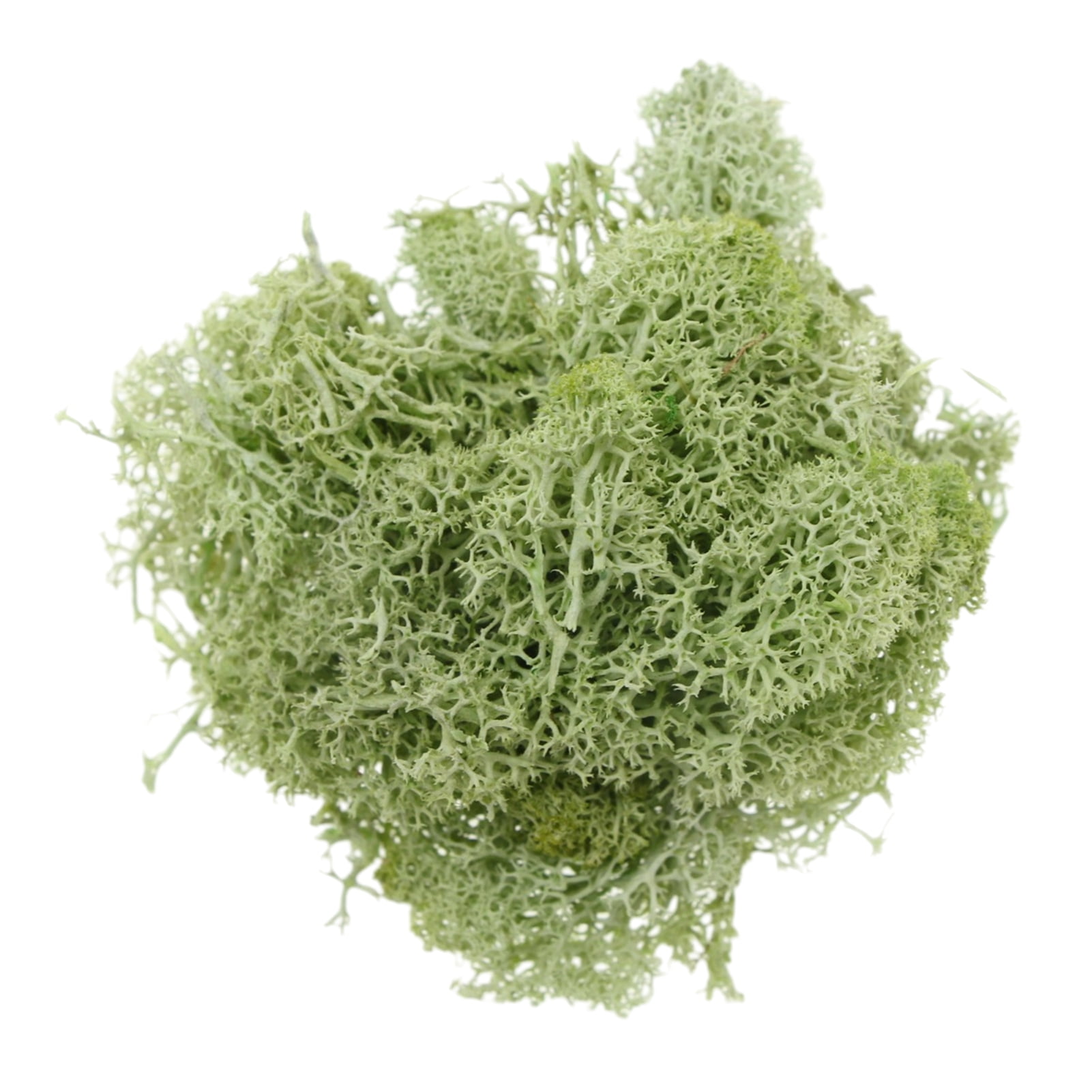 NIBOLOG Simulation Moss Bag - Vibrant Realistic Doll House Artificial ...