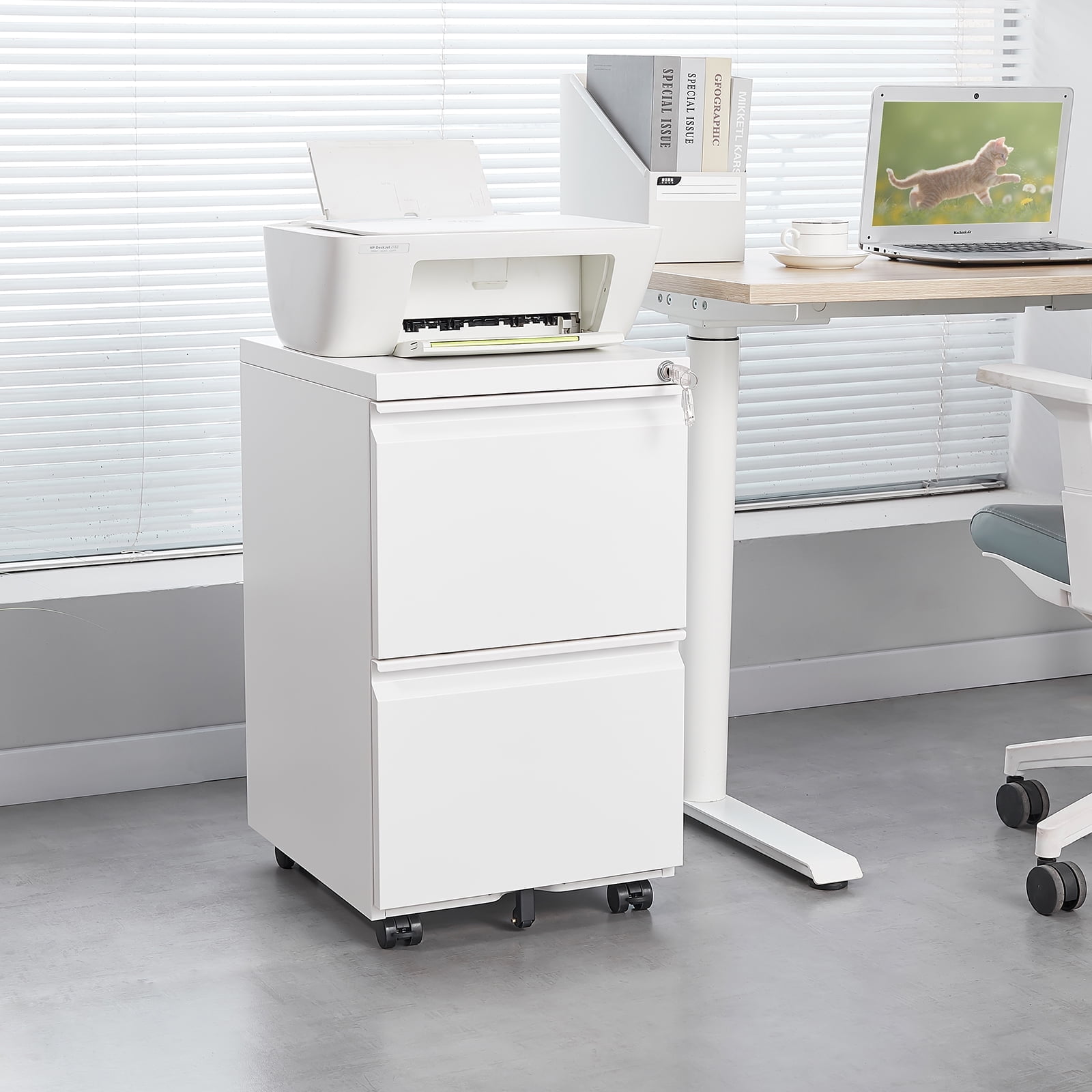 NICEGDLT 2 Drawer Mobile File Cabinet,Under Desk Anti-tip Files Cabinet ...