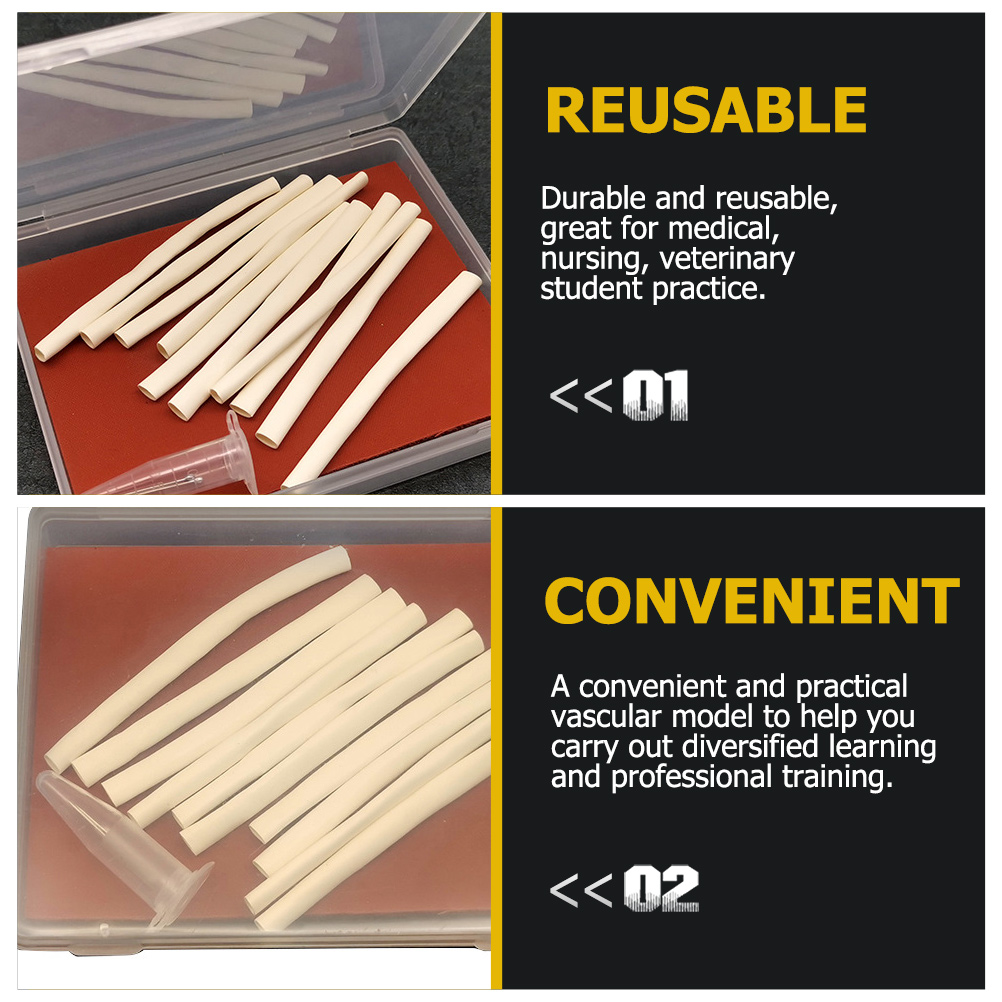 NICEMAL 1 Set Human Blood Vessels Models Vascular Surgery Training ...