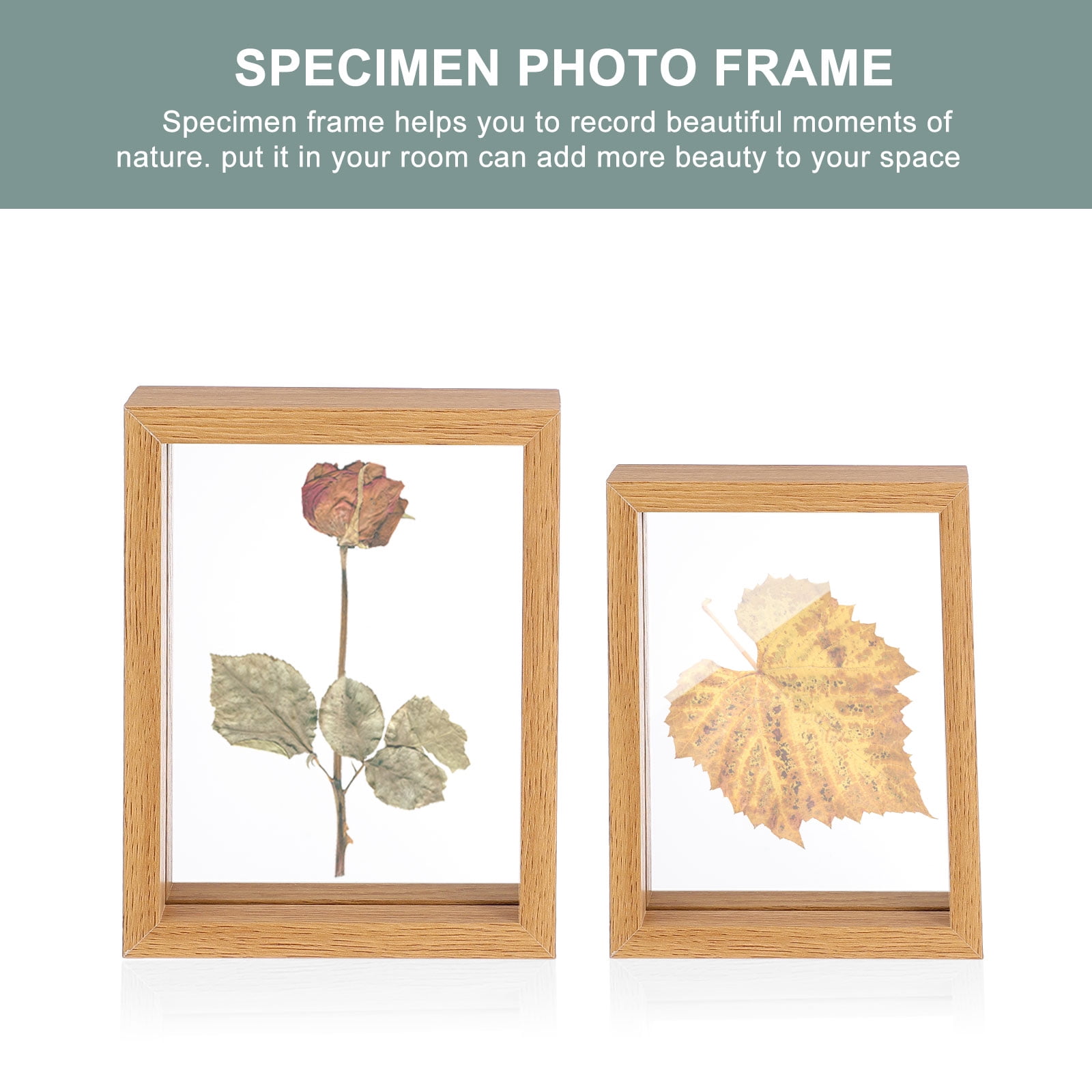 NICEMAL 2Pcs Chic Double Sided Glass Picture Frame Transparent Specimen ...